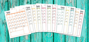 Christian Woman 2020 Daily Scripture Reading Calendars | Gospel Advocate